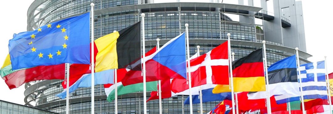European Parliament’s call to strengthen National Roma Inclusion ...